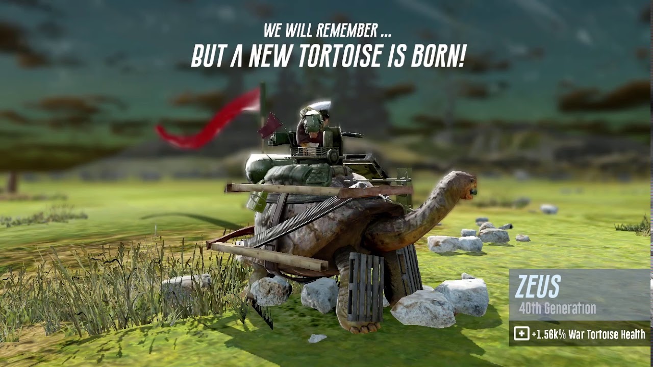 War Tortoise 2 - ZEUS - 40th Generation - YouTube