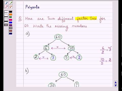 Find the missing number in the given factor tree. - YouTube