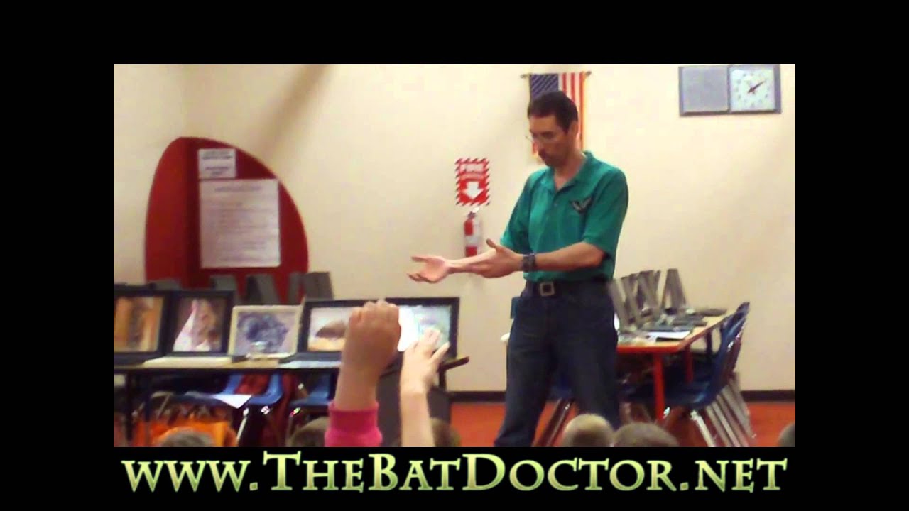 The Bat Doctor answers a question about "Bats as Pets". - YouTube
