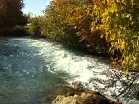 Adil NISEBIiNi -  dur nekev dil bievine