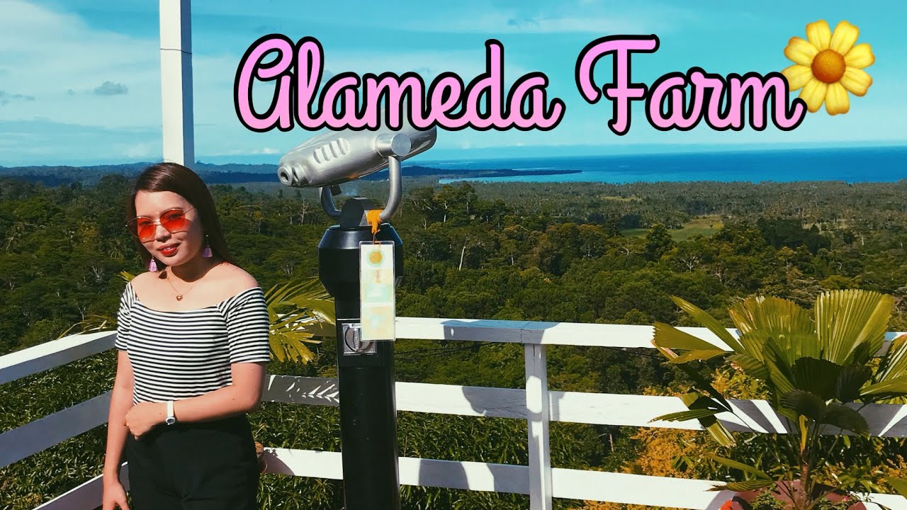 Alameda Farm ♥️ - YouTube