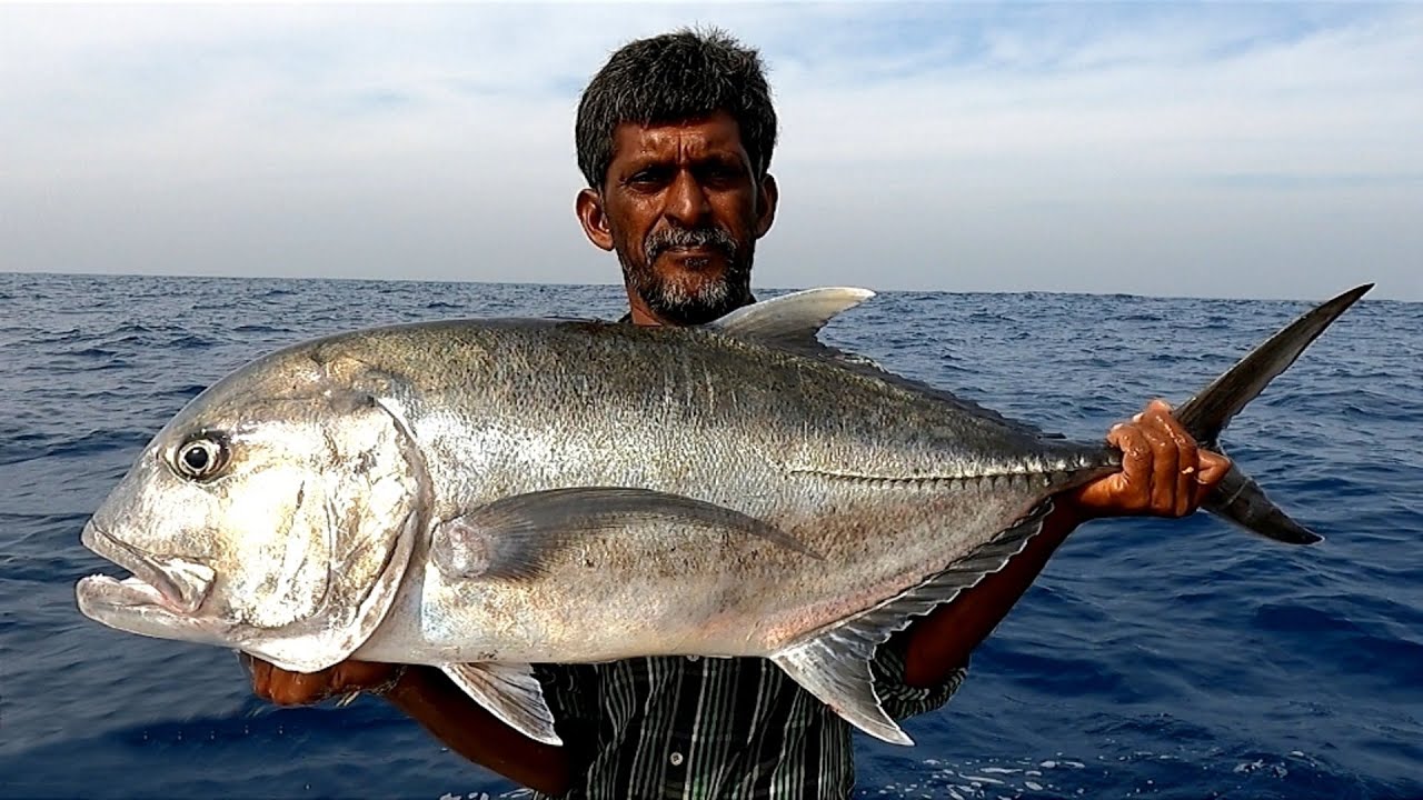 Catching Giant Trevally, King Fish & Barracuda Fish in Sea - YouTube