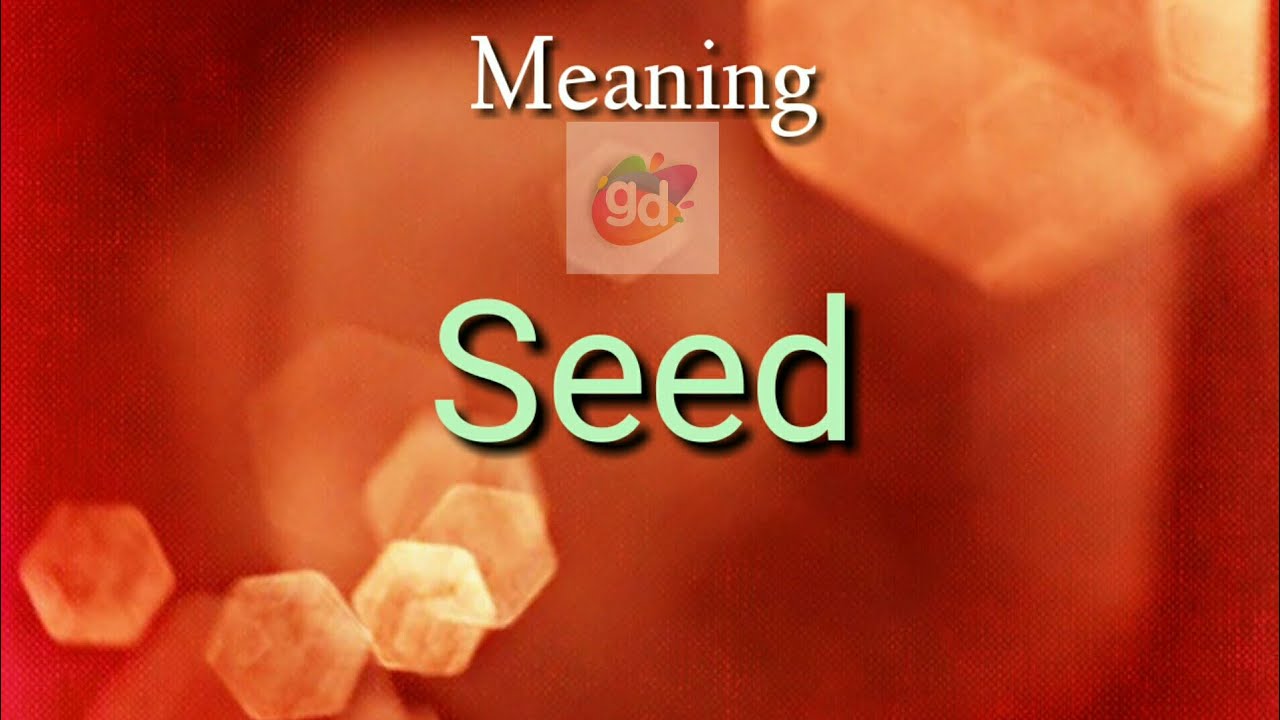 Seed Meaning with Pronunciation//Googul Dictionary// - YouTube