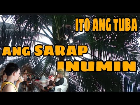 ITO ANG TUBA ANG SARAP INUMIN (PIÑAN VLOGGERS)@JaperSniperOfficial ...
