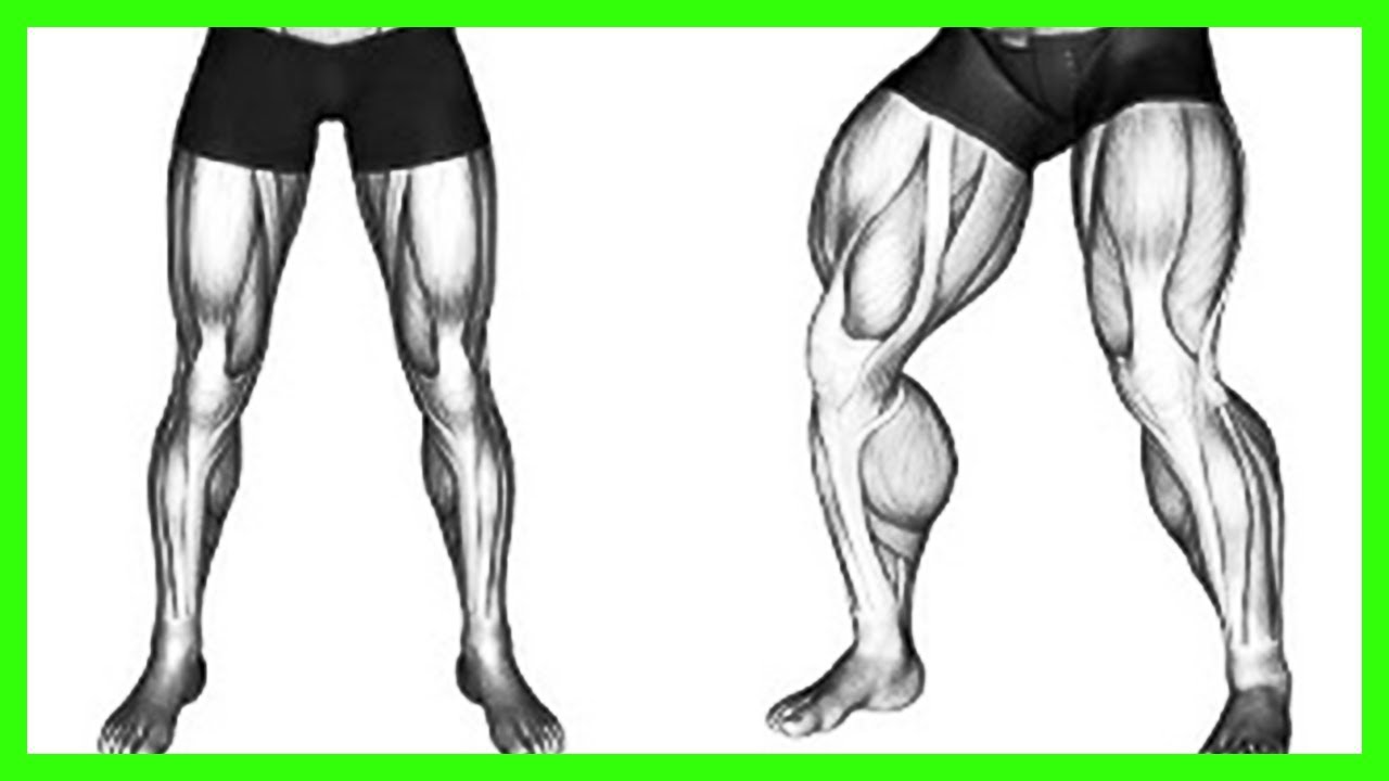 Ultimate Lower Body Workout Routine for Strong Legs - YouTube