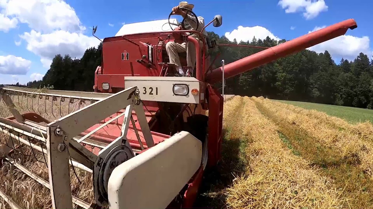 Mähdrescher IHC 321 im Einsatz - YouTube