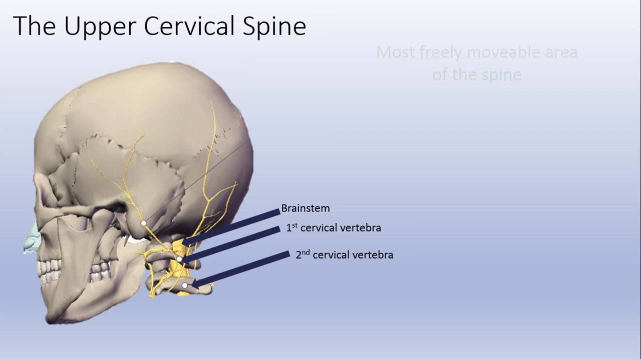 NUCCA Upper Cervical Chiropractic Care by Dr. Vanessa Wulff - YouTube
