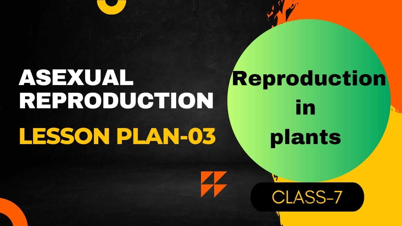 Reproduction in plants lesson plan || in English || asexual ...