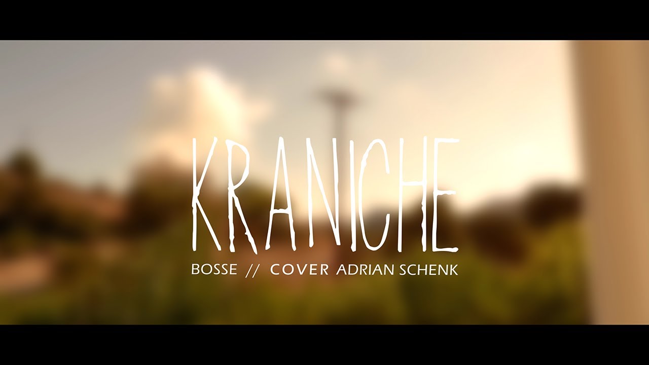 Kraniche - Bosse (Cover von Adrian Schenk) - YouTube