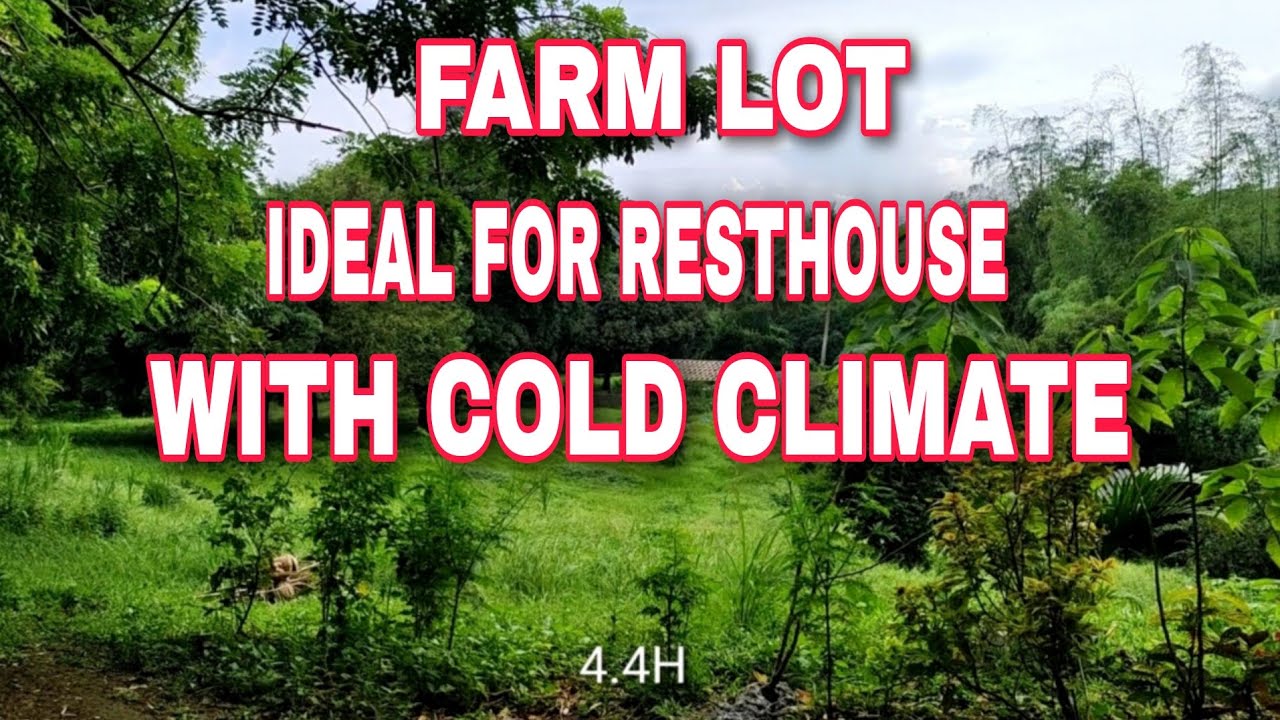#617 #FARM LOT WITH COLD CLIMATE - YouTube