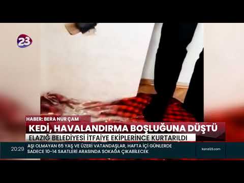 KEDİ, HAVALANDIRMA BOŞLUĞUNA DÜŞTÜ