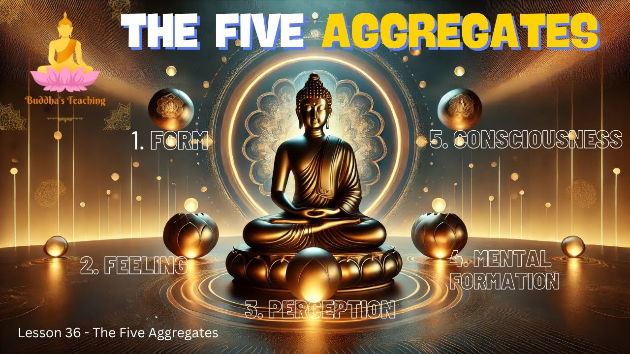 L36 - THE FIVE AGGREGATES - YouTube