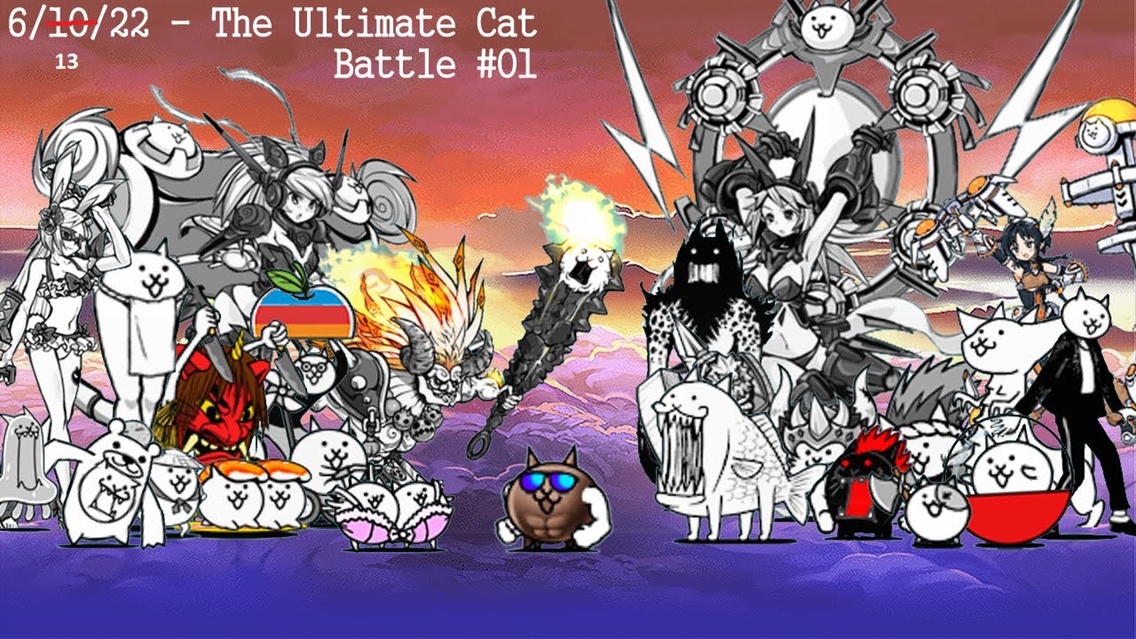 The Ultimate Cat Battle! - YouTube