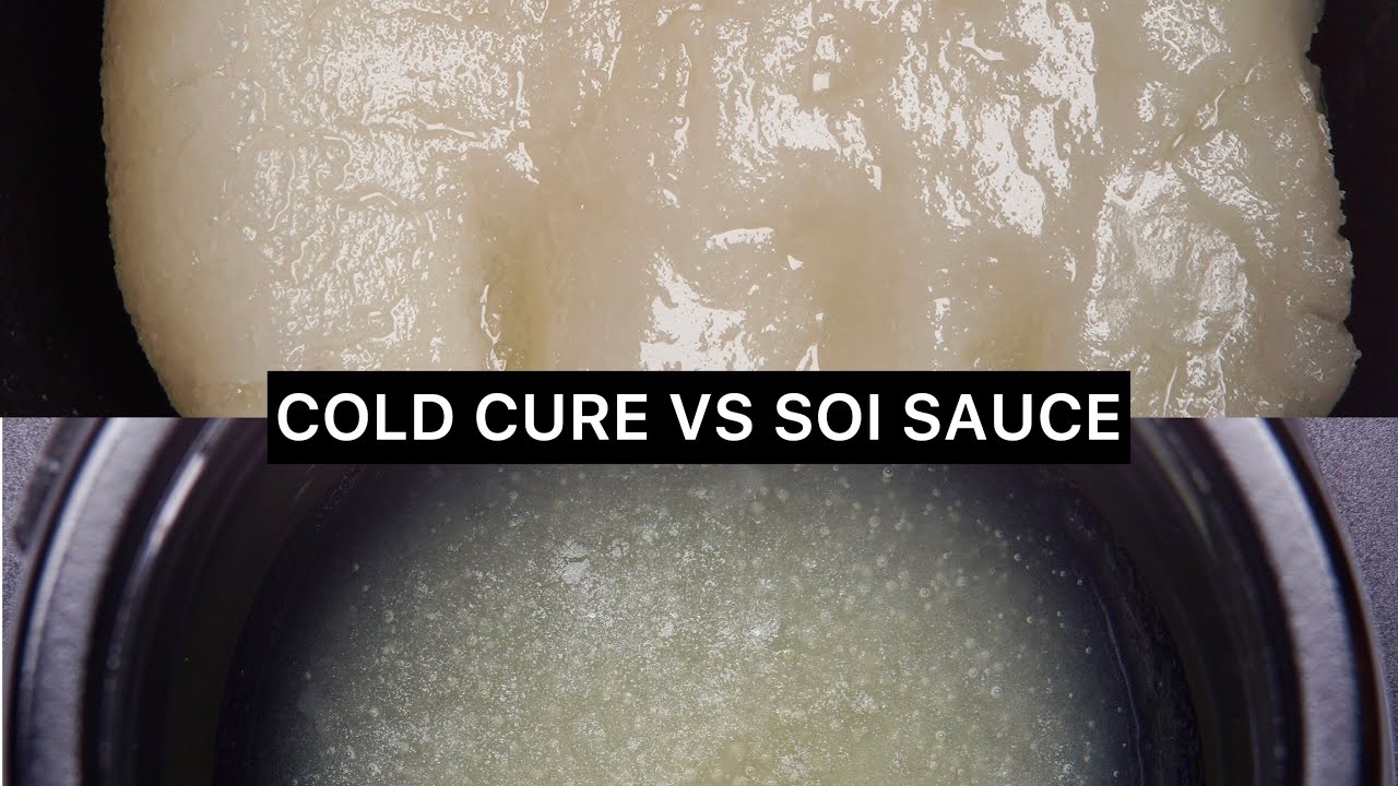 Sauce vs Cold Cure | Soiku Bano Florida Kush Rosin Review | Puffco Peak ...