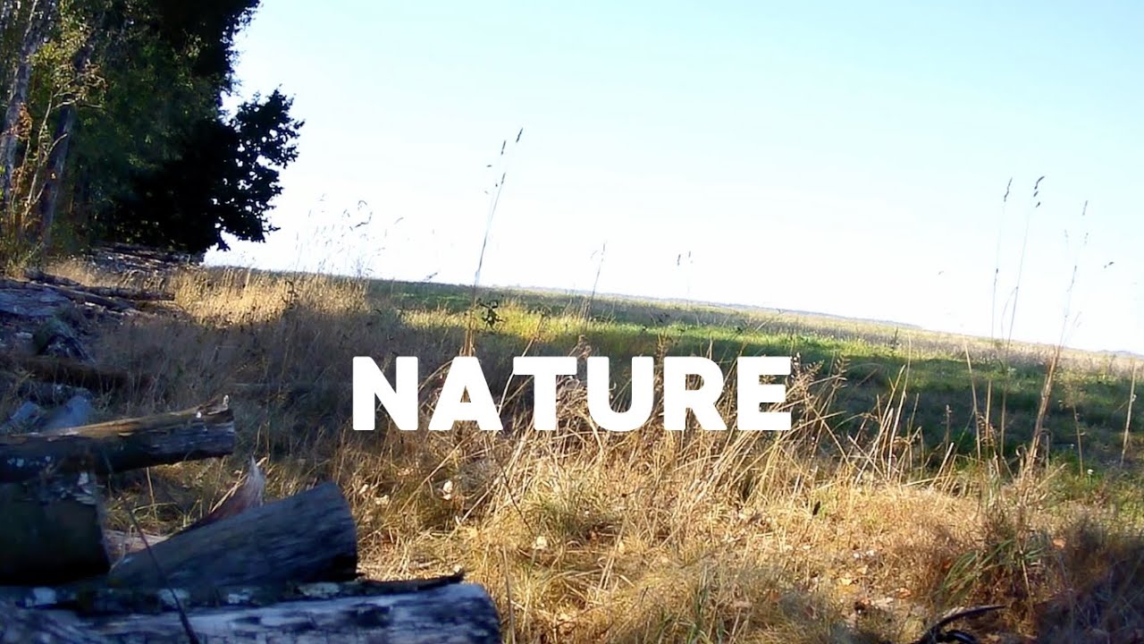 LIVE Nature speed 2.5 - YouTube