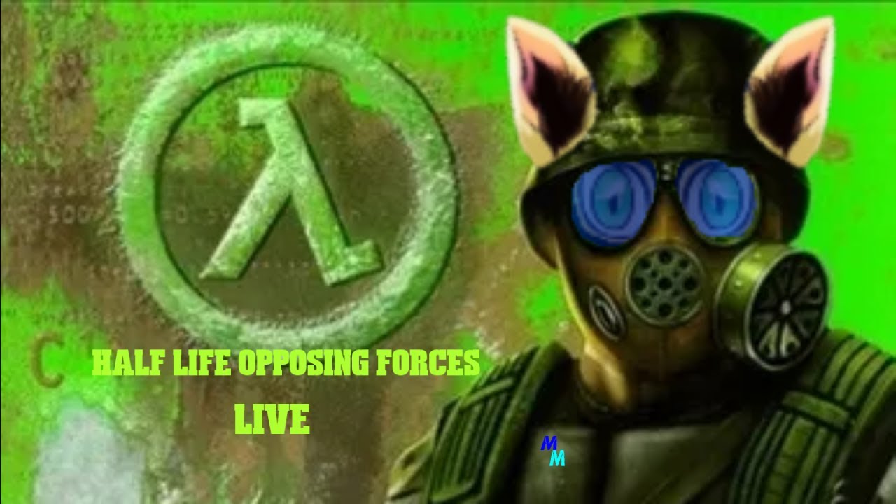 Half Life Opposing Forces Live - YouTube