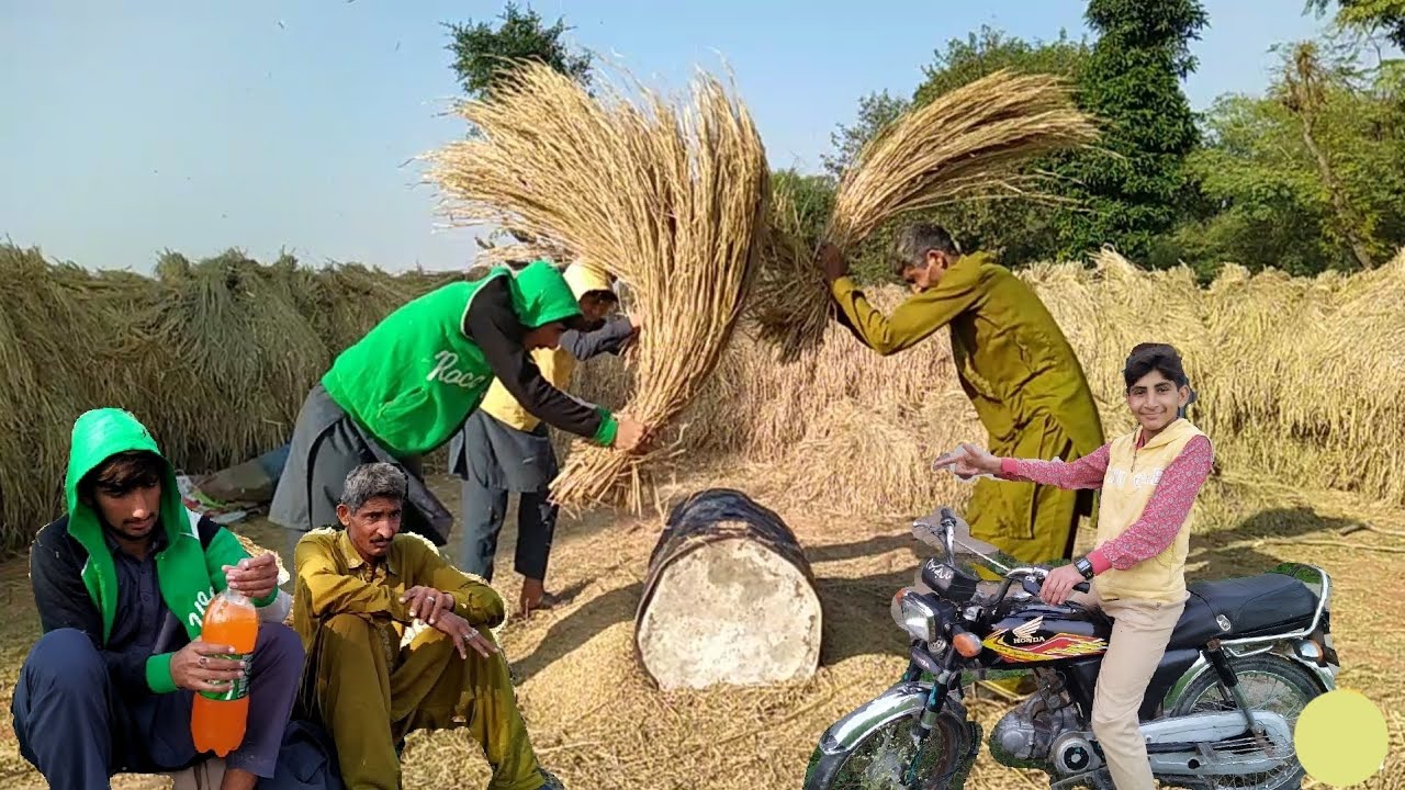 Amish /Ali Bhai/ Phans gya/Chacha Pendu kol/🥵🥵🤐🤐 - YouTube