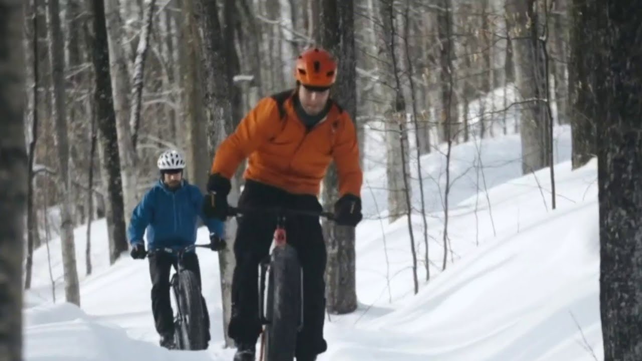 Celebrating National Michigan Day: Fun facts about the Great Lakes ...