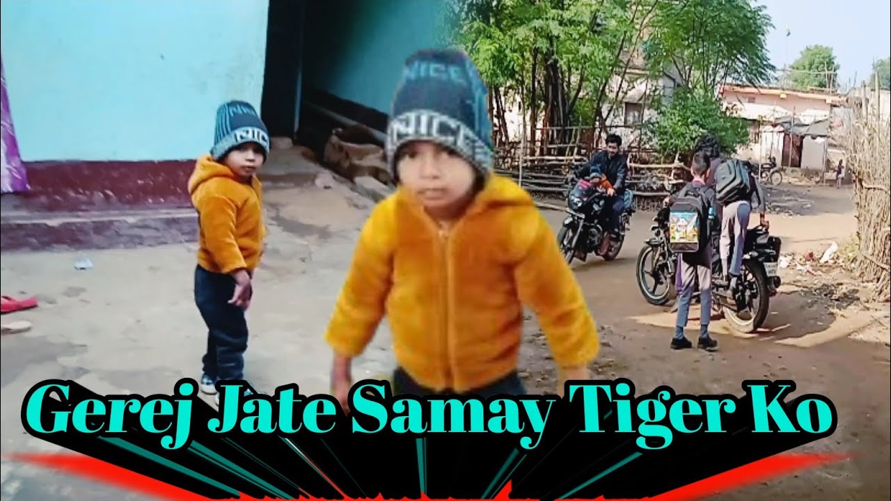 Gerej Jate Samay Tiger Ko Bahut Maja Aata Hai | #aaliyavlogs07 # ...