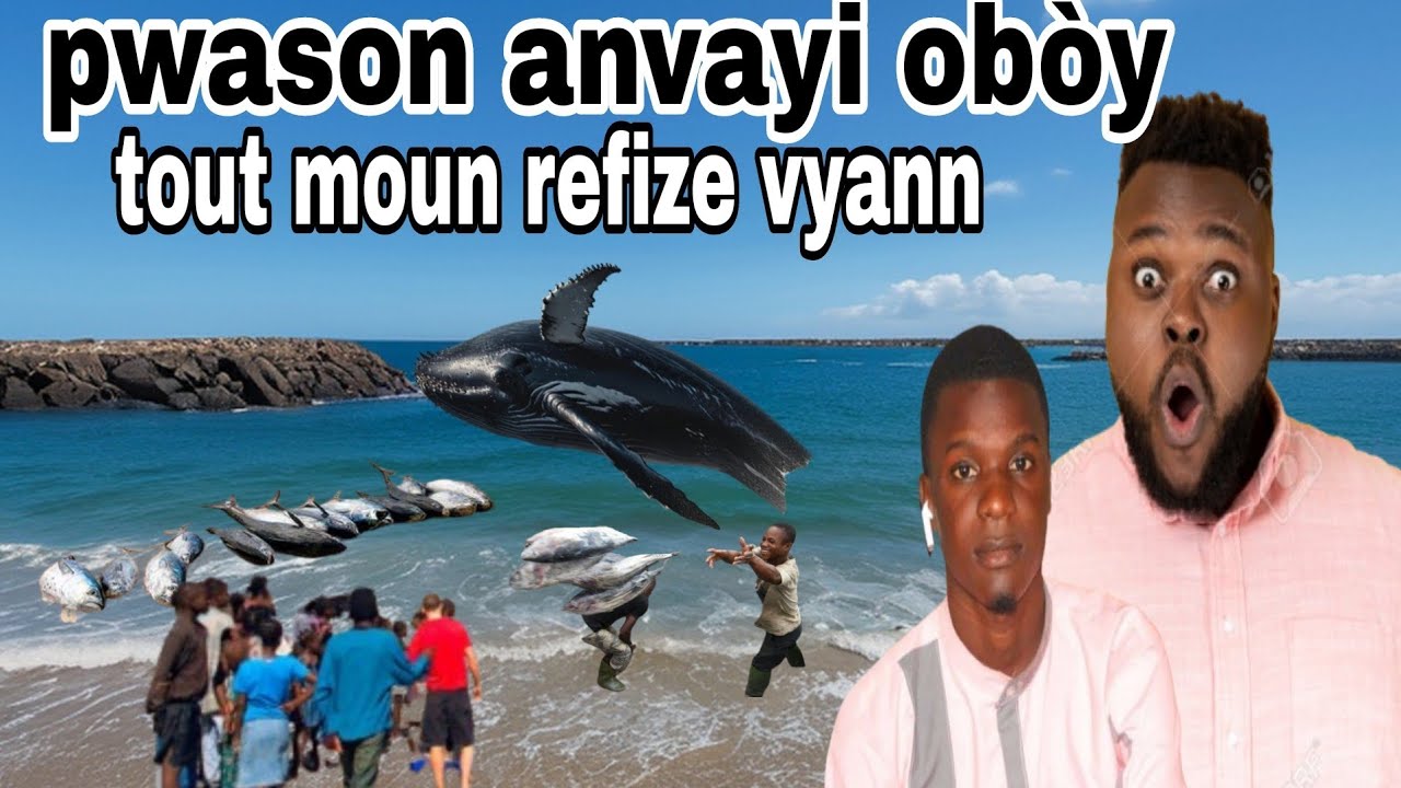 Mezanmi Pwason anvayi obòy,moun yo refize vyann, sase yon mirak - YouTube
