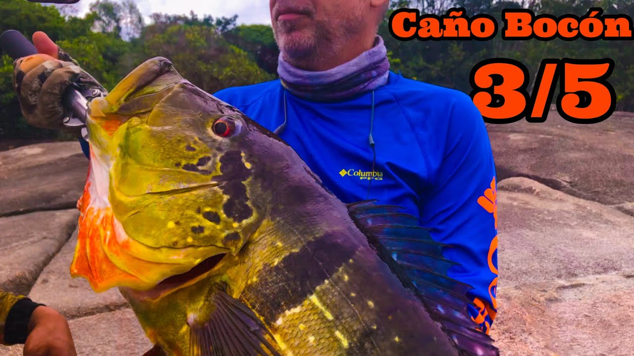 🔴Tercer día de Pesca Caño Bocon 2020 🔴 | Hector Perez Pescando 🎣 - YouTube