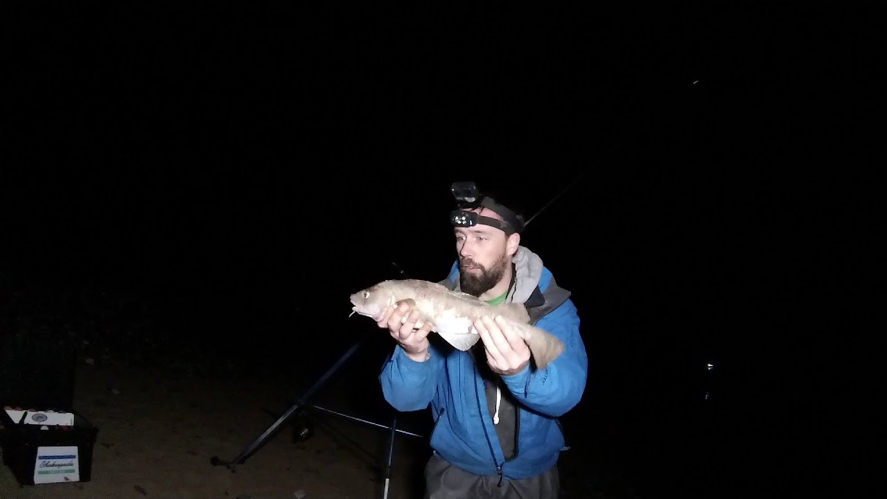 Loads of cod | Sea Fishing UK - YouTube