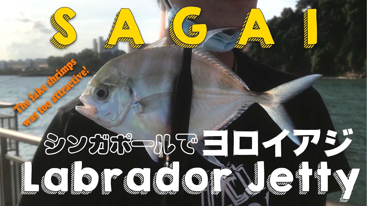 SAGAI Fishing in Singapore at Labrador Jetty!! - YouTube