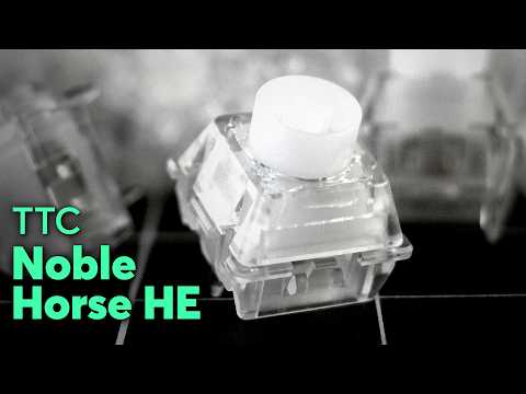 Best 60g Magnetic Switch? TTC Noble Horse HE Sound Test