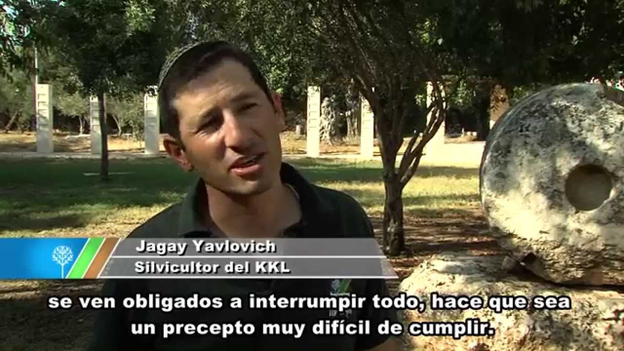 Shnat Shmitá, año sabático 2014-15 Un Shabat para la tierra - YouTube