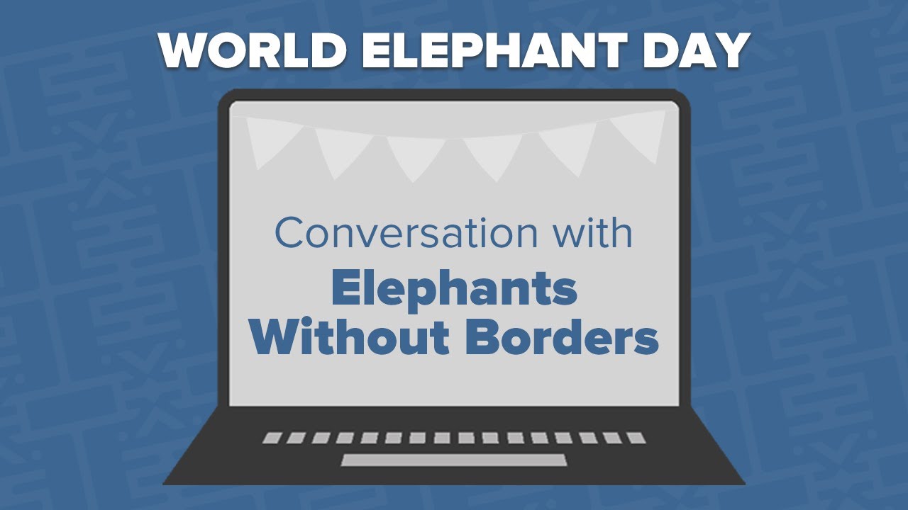 The Elephant Sanctuary | World Elephant Day Conversation with Elephants ...