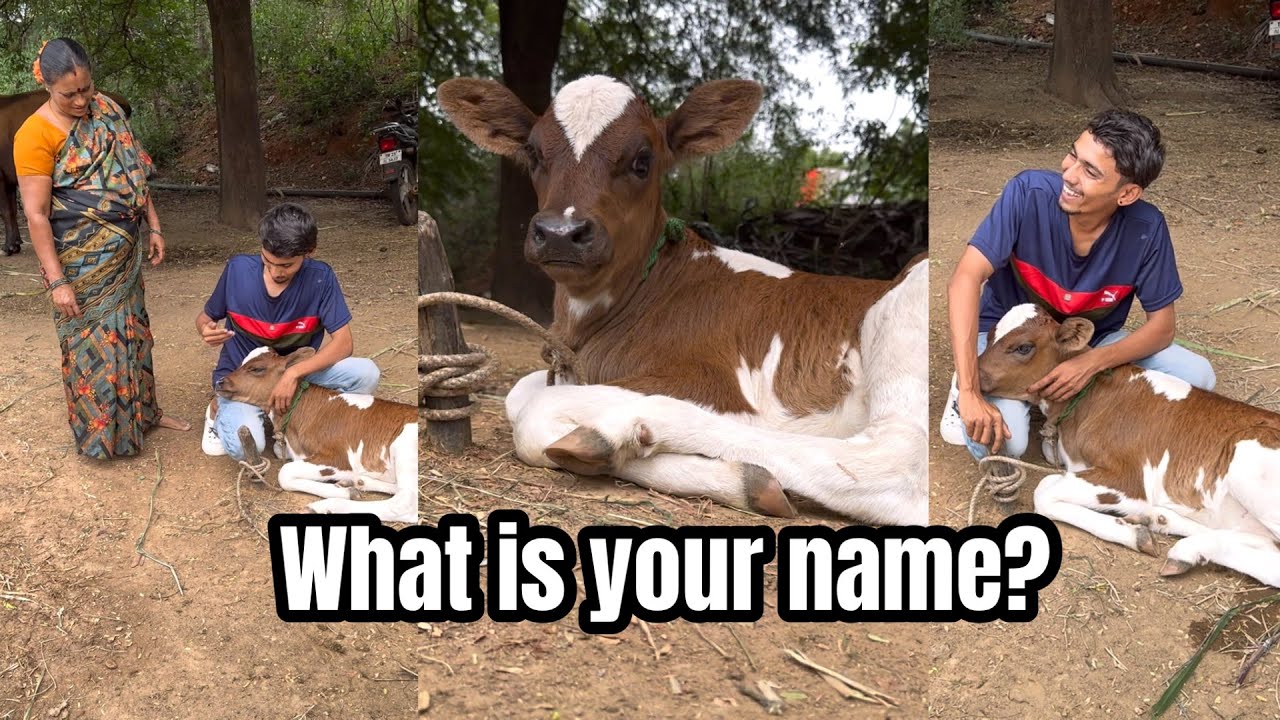 🌀🌀Enna Name Vachirukomnu தெரியுங்களா!! - YouTube