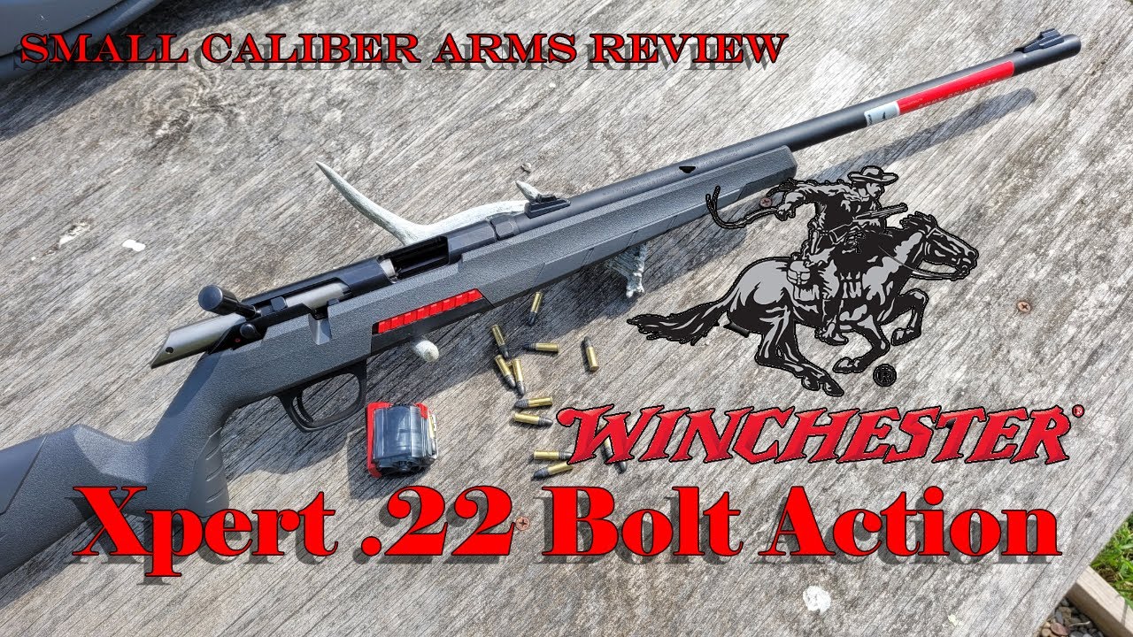 Winchester Wildcat Xpert - YouTube