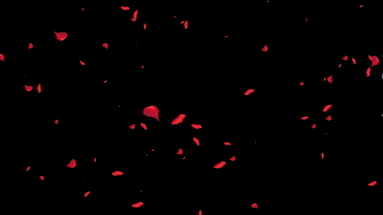 FREE GFX Material footage HD Falling Flower Blossom Petals Background ...