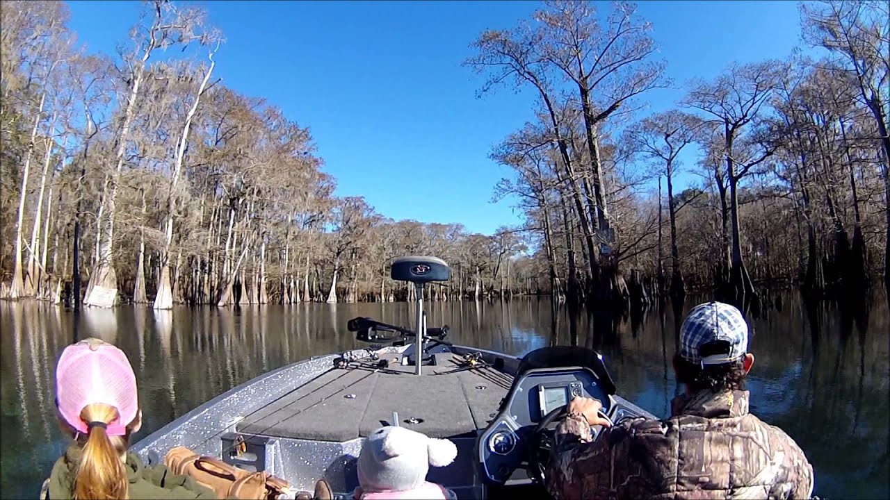 Ichetucknee River Bass Fishing With Nasty Fishing Tackle - YouTube