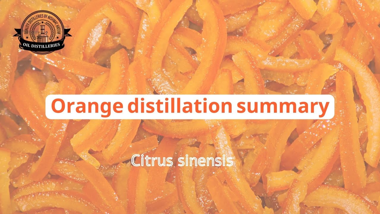 תקציר זיקוק שמן אתרי תפוז Orange distillation summary - YouTube