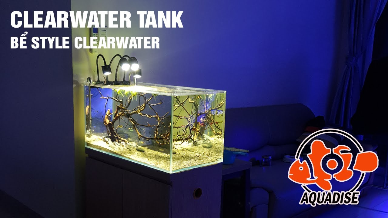 Bể Clearwater | My Clearwater tank | Aquadise - YouTube