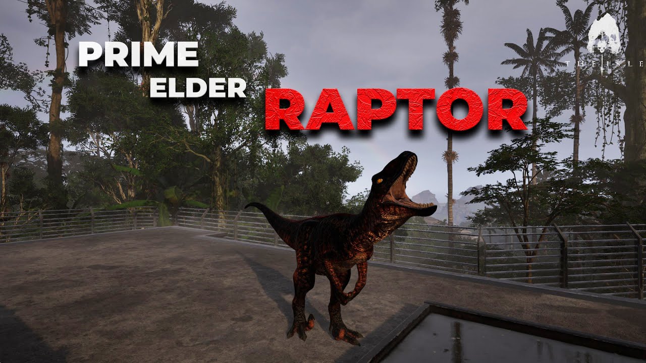 I got PRIME ELDER Raptor in The Isle - YouTube