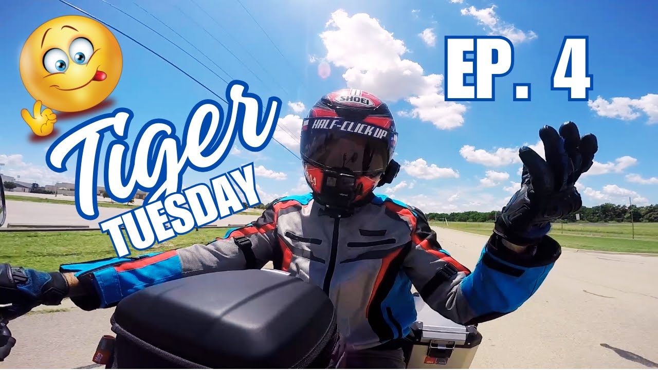 Tiger Tuesday: Ep. 4 - Cuz WHY NOT?! - YouTube