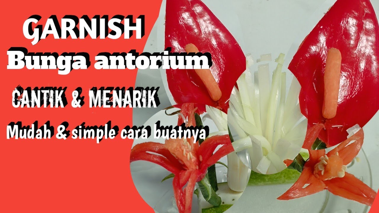 BUNGA ANTORIUM MERAH YANG CANTIK & MENAWAN‼️CARA MUDAH DAN CEPAT ...