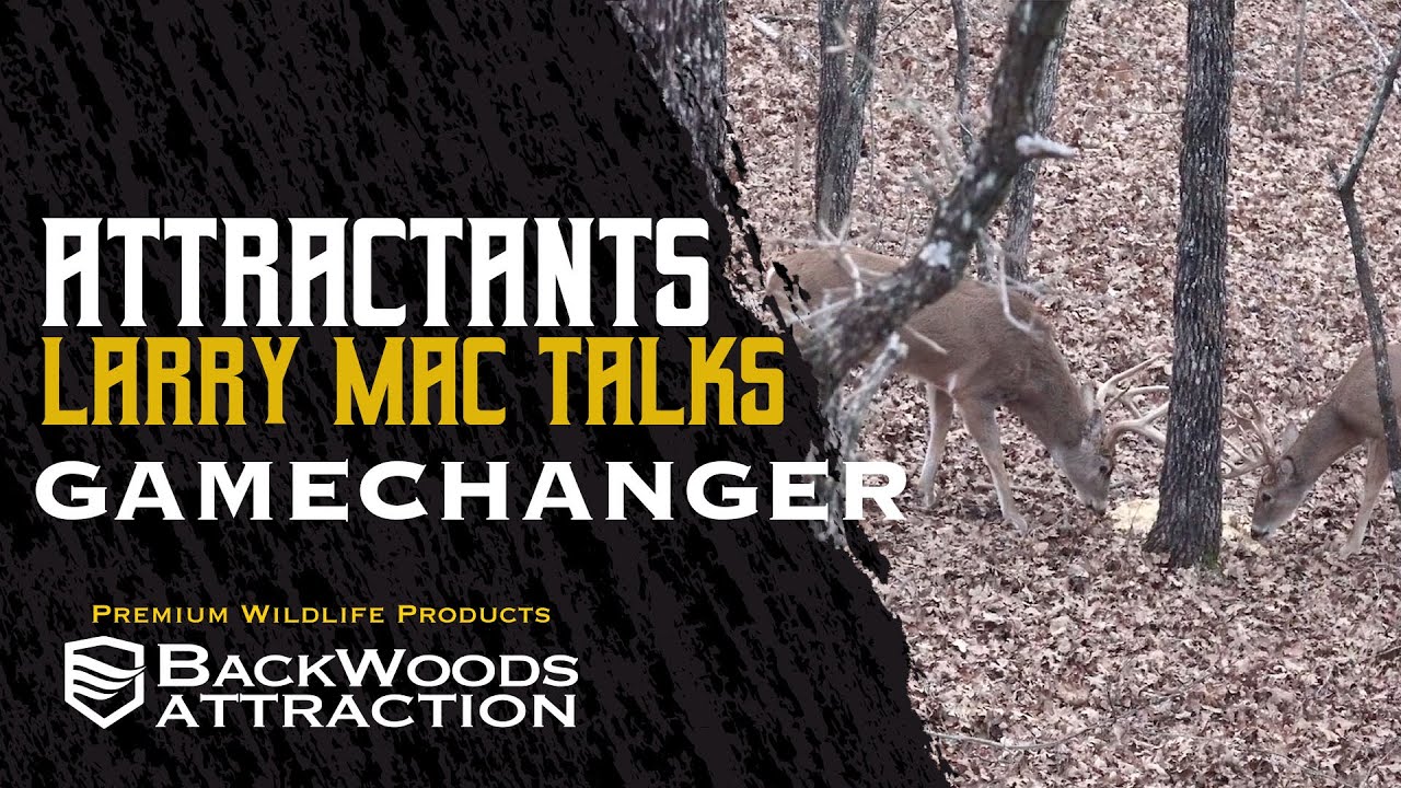 "Why Backwoods Attraction and Top BWA Products" - YouTube