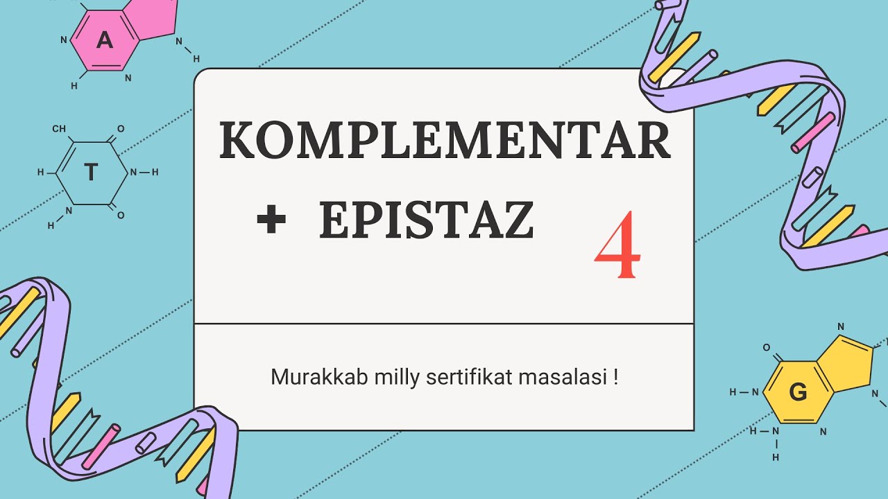 Komplementar + Epistaz 3 daraja 1-qism - YouTube
