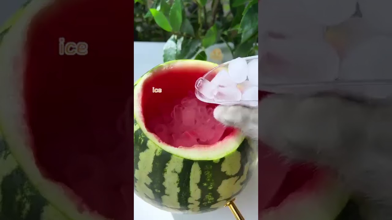 Meow 🍉Awesome Iced Watermelon Party Keg😍 | Easy Summer Drinks | Cat ...