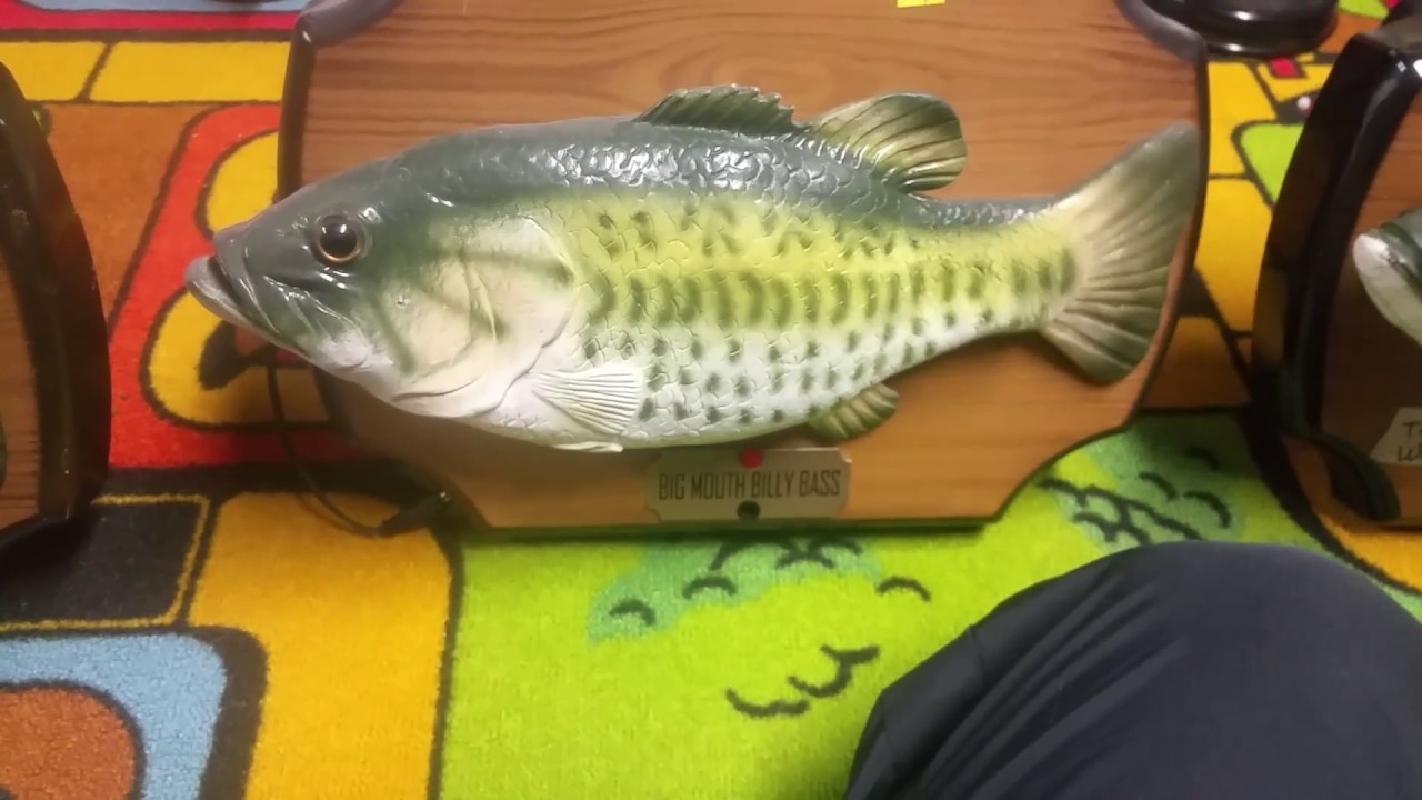 Gemmy Animated "Big Mouth Billy Bass" (The Singing Sensation) - YouTube