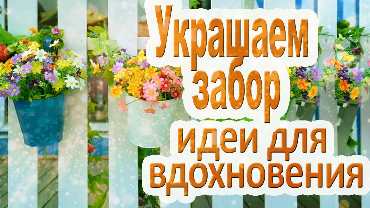 Как украсить забор цветами / Интересные идеи - YouTube