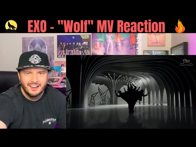 Exo Logo Wolf