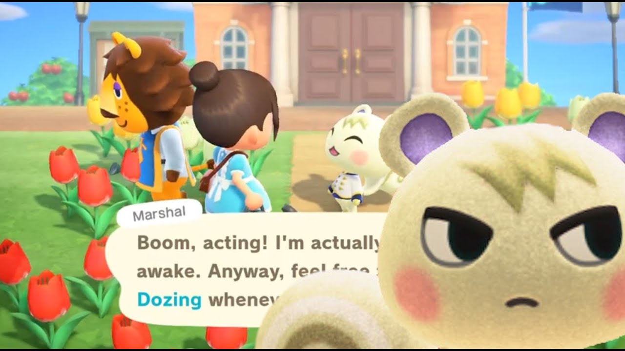 Animal Crossing Marshal