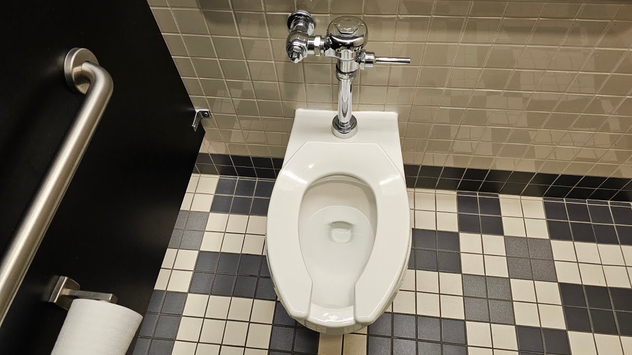 TR #36: The 2nd Gen Eljer Signature Wall Hung Toilet from the 2000's is ...