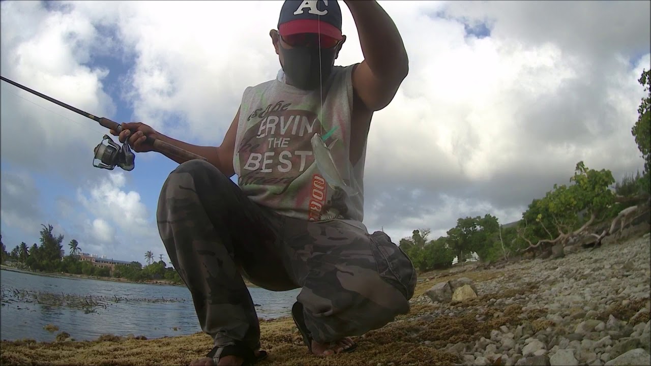 How to Catch EE fish (Baby Trevally fish) - YouTube