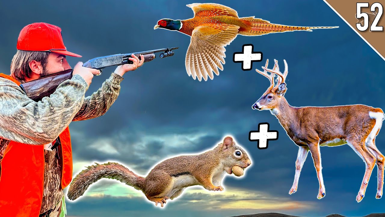 3 SPECIES CATCH & COOK! (Deer, Pheasant, Squirrel) - YouTube
