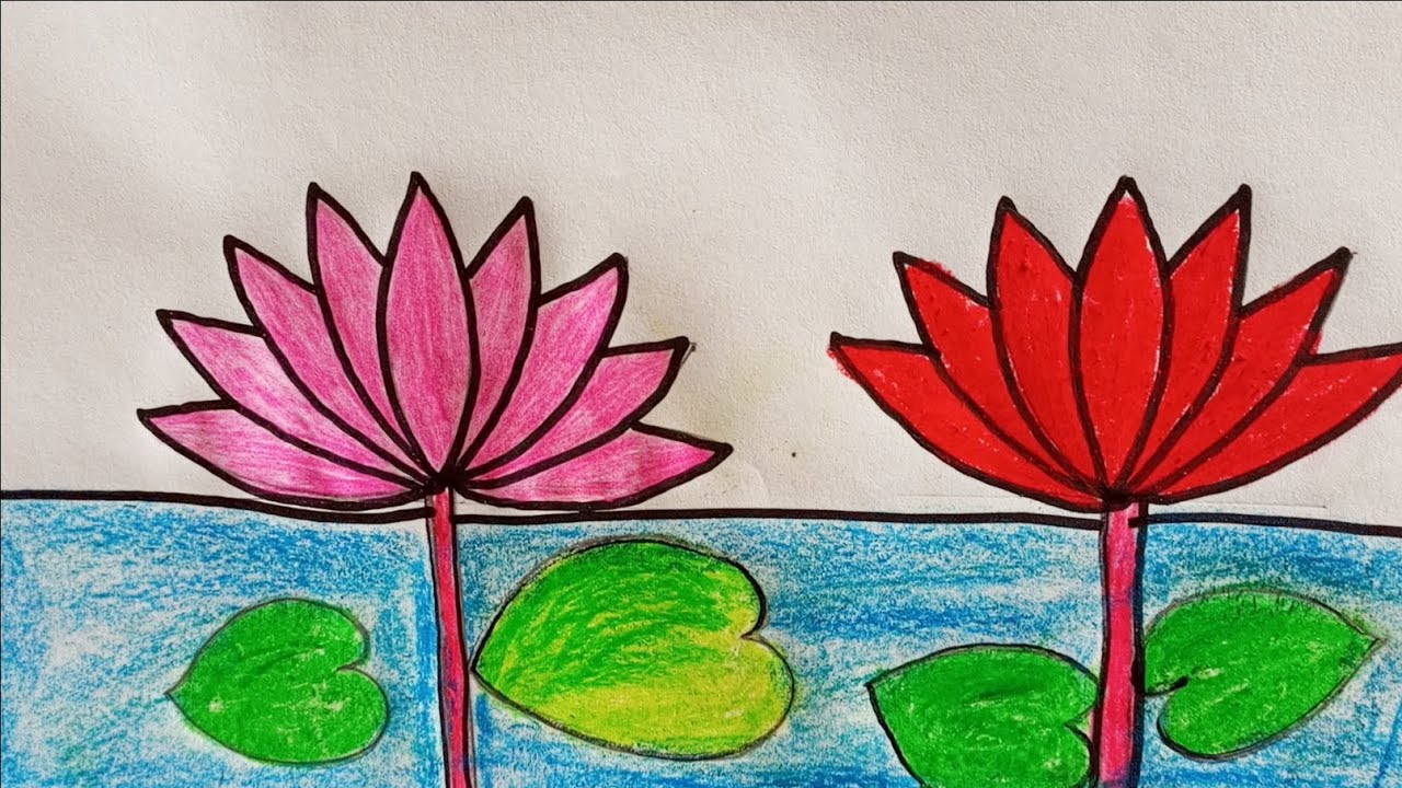 How To Draw A Water Lily Easy Simple how-to-draw-a-water-lily-easy-simple
